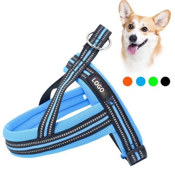 Quality XXS-XXL Reflective Leash And Collar Nylon Four Legged Hi Vis Dog Leads for sale