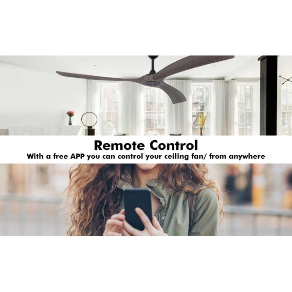 Quality Quiet Energy Saving 6 Speed Smart Ceiling Fan with Light Controlled by Alexa for sale