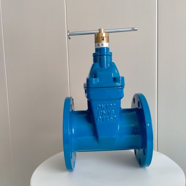Quality DIN3352 PN16 Lock Gate Valve BS5163 Wedge Type Gate Valve for sale