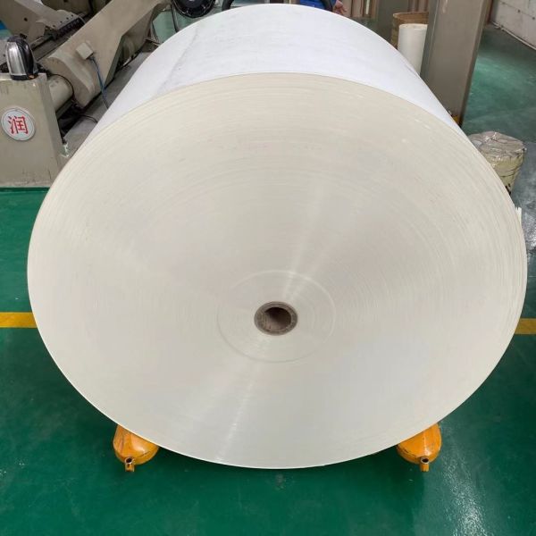 Quality SGS Waterproof PE Coated Paper Sheet 150g To 330g Bio Degradable for sale