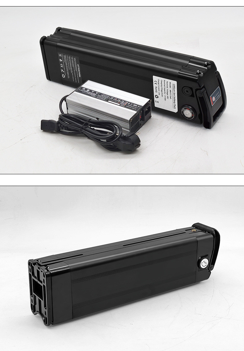 Customized Electric Bike 48volt 20ah Silver Fish E-Bike Lithium Battery for Aldi Prophete Mifa, Samsung, Zhenlong Zl0710, Phylion Xh259-10j, Xh259-13j Battery