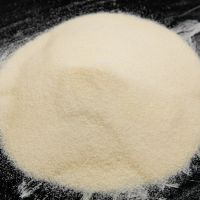 Quality Capsules Pharmaceutical Gelatin 170 Bloom Bovine Gelatin Halal for sale