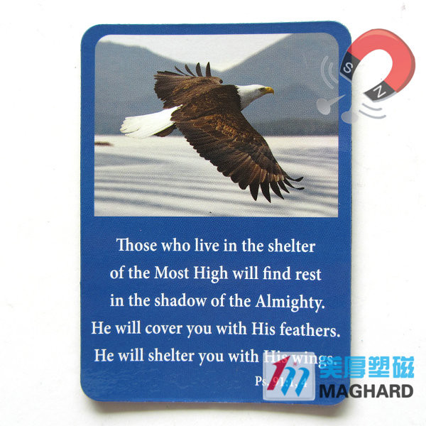 Quality Picture 4C Printing Advertising Fridge Magnets Personalized as Souvenir for sale