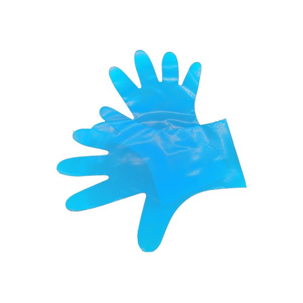 Quality AS4736 Certified Compostable Food Gloves 50 Micron CPE Disposable Gloves for sale