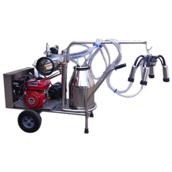 Quality 50KPa Single Bucket Trolley Milking Machine With Gasoline Engine for sale