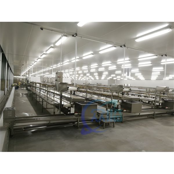 Quality 3KW Stable Shrimp Processing Machine 10000x1150x1550mm Practical for sale