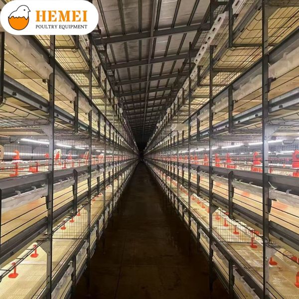 Quality Multi Tier Automatic Harvesting Broiler Cage for sale