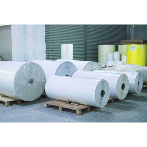 Quality Ordinary Sticky Coated Paper Roll Label 80g Surface Thickness for sale