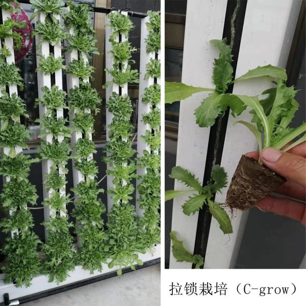 Quality Skyplant Customized NFT Vertical Climate Control Hydroponic Growing Systems for sale