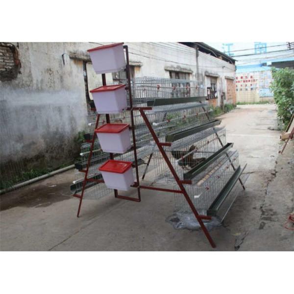 Quality Stepped H Type Layer Cage 490mpa / Chicken Egg Layer Cages 56cm width for sale