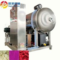 Quality 200kg/Batch Capacity Vacuum Freeze Dehydration Machine For Flower And Candy for sale