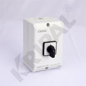 Quality 3P 4P 230V IP65 Universal Changeover Switch with protective box for sale