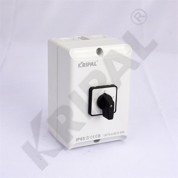 Quality 3P 4P 230V IP65 Universal Changeover Switch with protective box for sale