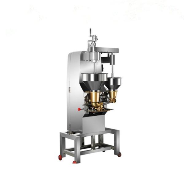 Quality Seafood Fishball 1.5kw SS304 Meatball Making Machine for sale