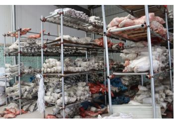 China Factory - Ningjin Jiasheng Auto Parts Technology Co., Ltd.