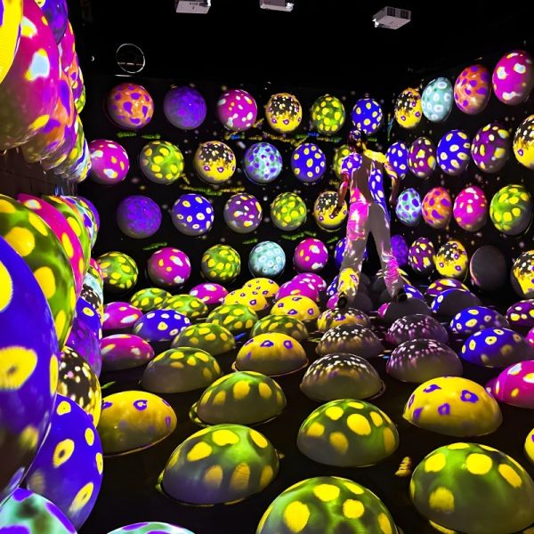 Quality Indoor Interactive Jumping Sphere Floor Interactive Projection Game Cool Jump Space for sale