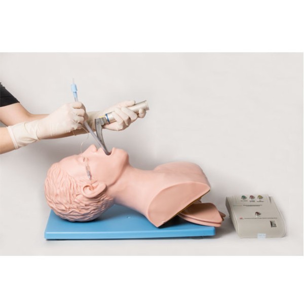 Quality Intubation Training Electronic Airway Management Manikin for sale