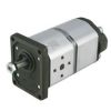 china Low Noise Wide Speed Range 2 Stage Gear Pump Customization Available