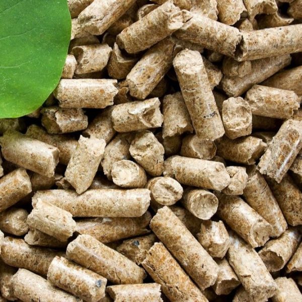 Quality Rabbit Poultry Feed Pellet Machine 50HZ 3mm 12mm for sale