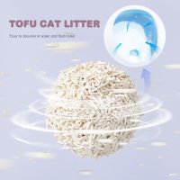 Quality Freshness Tofu Cat Litter Sand Biodegradable Cat Litter No Dust No Tracking for sale