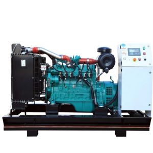 Quality 100KW Natural Gas Generator with Leroy Somer Stamford Alternator CE/ISO9001 for sale