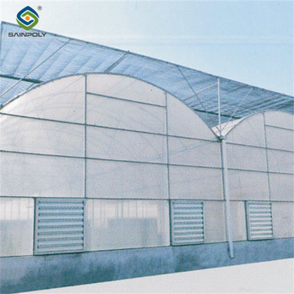 Quality Galvanized Steel Frame Multispan Greenhouse 30-100m Length Customized Size for sale
