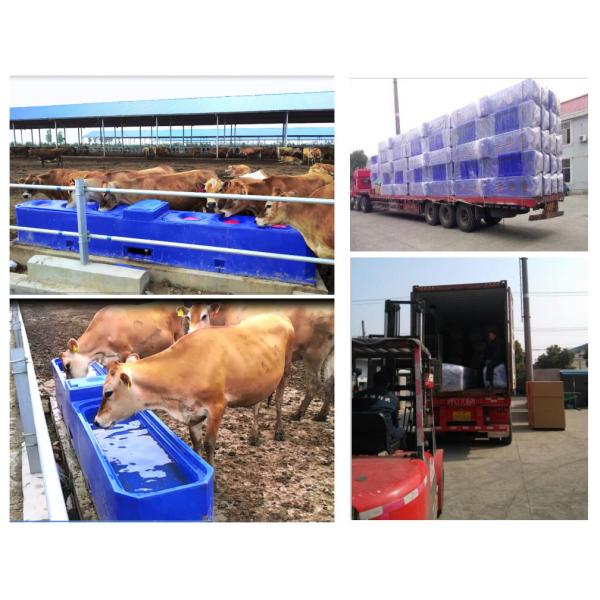 Quality Freeze Proof plastic L13ft 300L Livestock Water Tank for sale