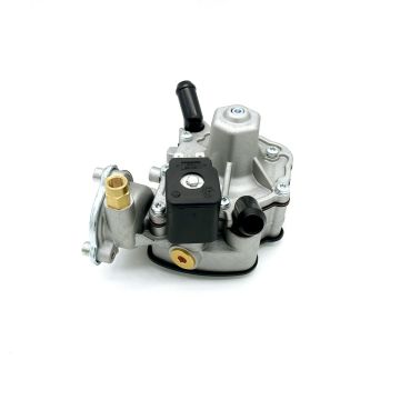 Quality Larger Internal Passages 110W LPG Pressure Regulator Reducer With Black Solenoid for sale