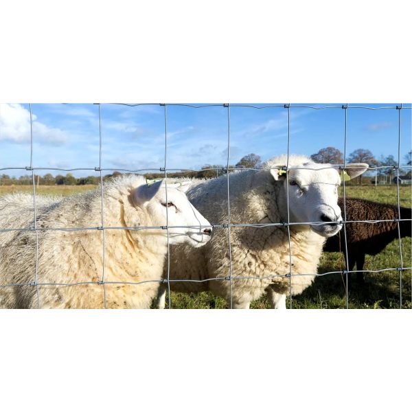 Quality Green Cattle Fence Mesh Grassland Horse Wire Netting for sale