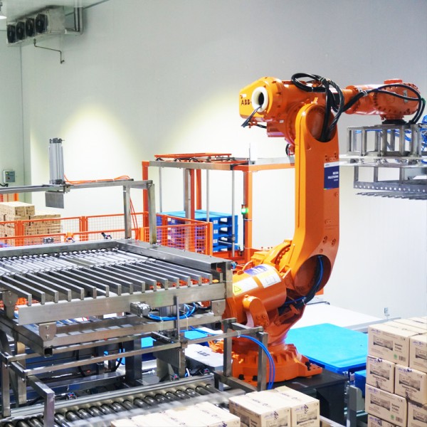 Quality Cold Storage Warehouse Pallet Stacker Crane ASRS Logistics Center Automatic for sale