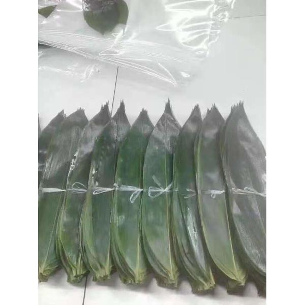 Quality 100% Natural 32cm Fresh Bamboo Leaves For Food Package for sale