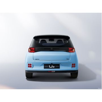 Quality 3.8m mini electric car for sale