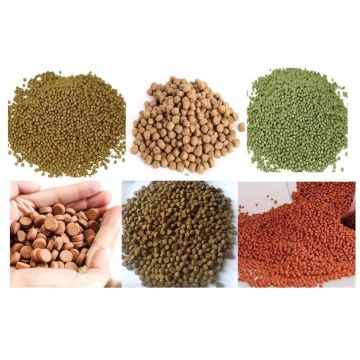 Quality 100kg/H -6t/H Fish Food Processing Machine Floating And Sinking SLG65 for sale