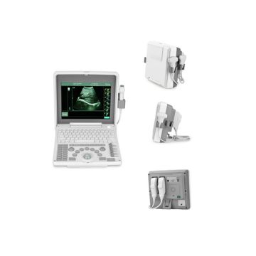 Quality 12 " LCD Screen Portable Ultrasound Device Digital High Resolution With B, B+B, for sale