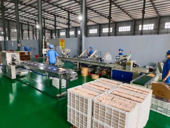 China Factory - QC Disposable Cutlery