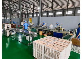 China Factory - QC Disposable Cutlery