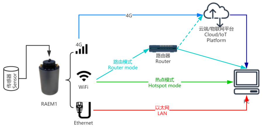 RAEM1 networks.png