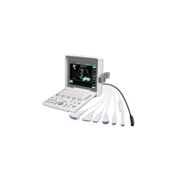 Quality Portable Color Doppler Ultrasound Scanner With 12.1 Inch Screen 2.5-10 MHz Multi for sale