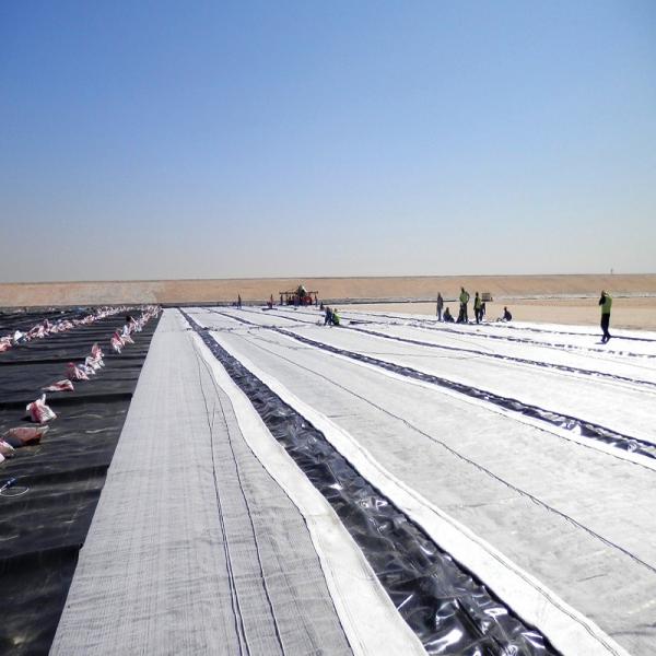 Quality 4000g GCL Hardening Bentonite Geosynthetic Clay Liner for sale