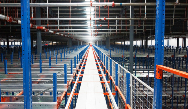 Shuttle & carrier Automated Storage System