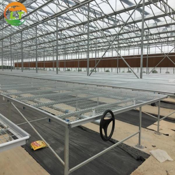 Quality Large Polycarbonate Greenhouse for Vegetable and Flower Cultivation for sale