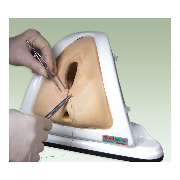 Quality Magnify Size Child Birth hospital simulation episiotomy training with CE approvable for sale