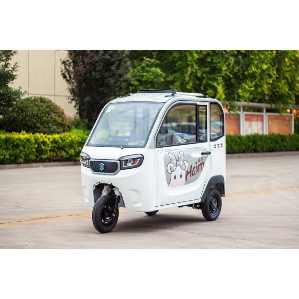 Quality 800W Passenger Electric Tricycle Adults Passenger 3 Wheel Electric Tricycle for sale