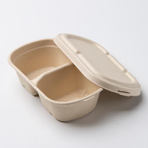 Quality Leak Proof Sugarcane Fiber Pulp Disposable Food Container Biodegradable for sale