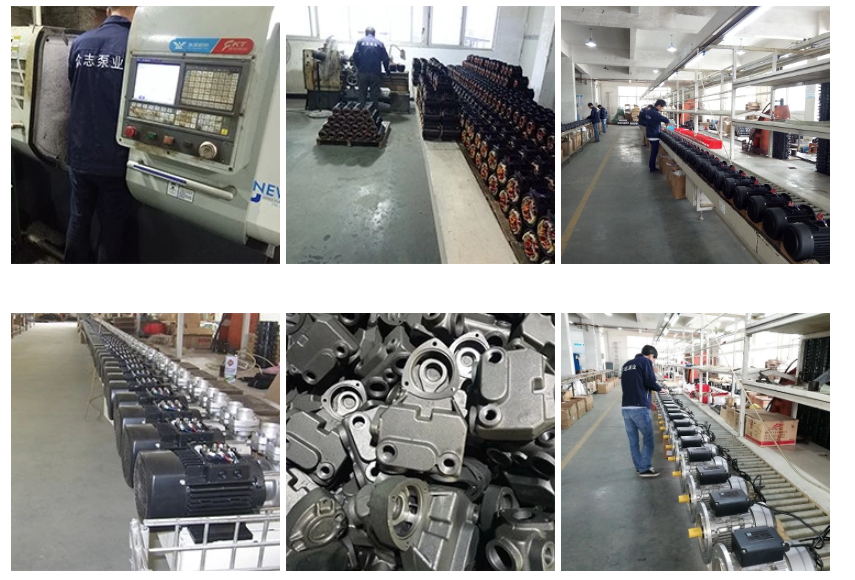 swimming pool pump motor