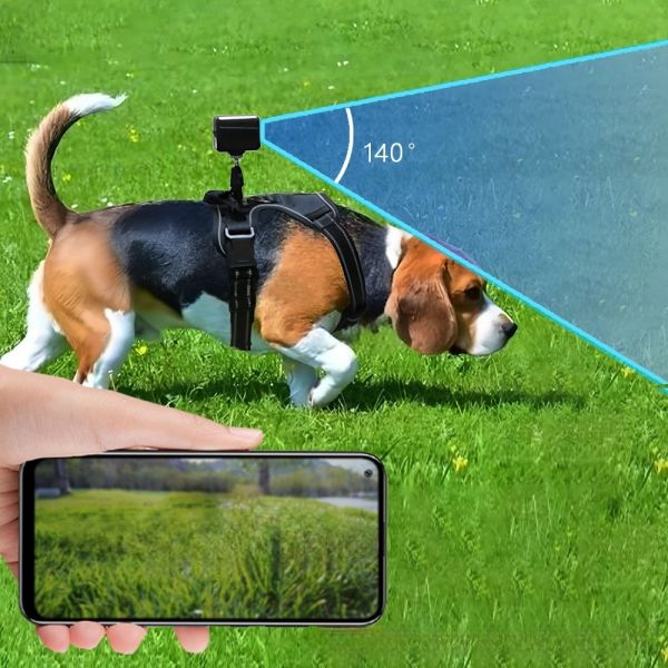 Quality No Monthly Fee GPS Tracker Long Battery Life Global Coverage Replacement Collar for sale