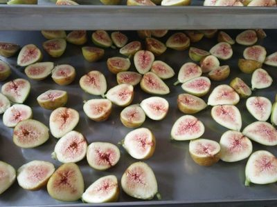 Quality Vacuum Stainless Steel Industrial Freeze Dried Fruit Machine for sale