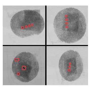 Quality X-Ray Inspection System For Foreign Material Detection In Packed Instant Noodles for sale
