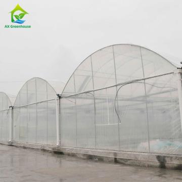 Quality UV Resistant Plastic Film Greenhouse for sale