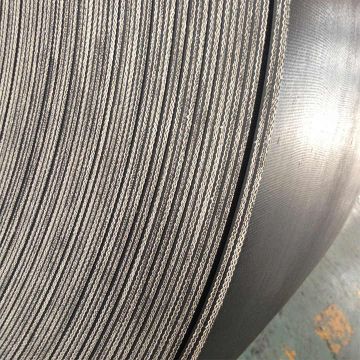 Quality ST630/ST800/ST1000 High Temperature Conveyor Belts with Tear-resistant Design for sale